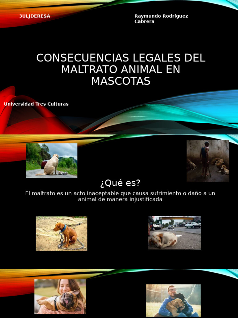 Consecuencias Legales del Maltrato Animal | PDF | Abuso infantil ...