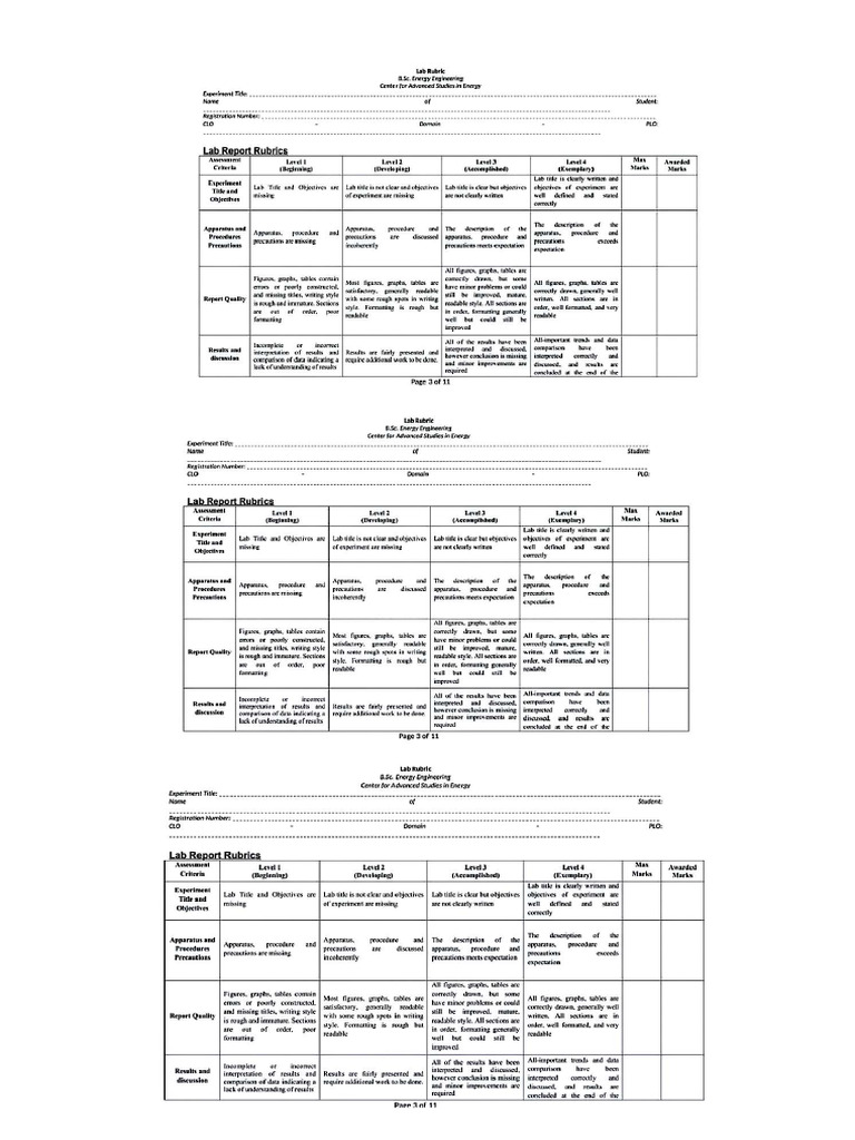 Lab Rubrics | PDF