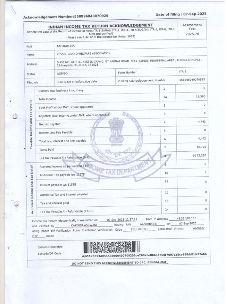Balance Sheet F.Y 2024-25 PDF | PDF