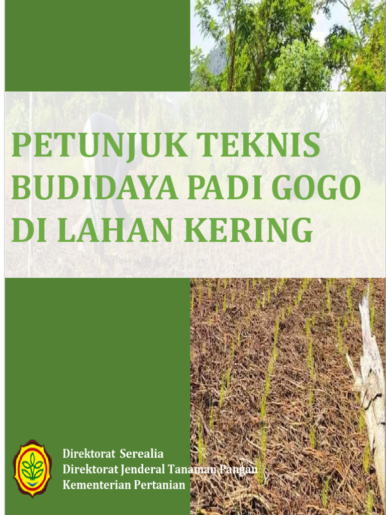 Budidaya Padi Lahan Kering 3-12-24 | PDF