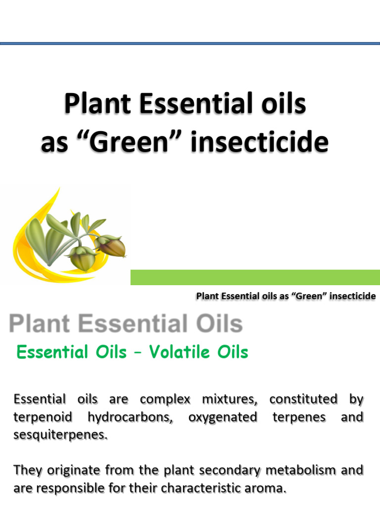 Plant Essential Oils As "Green" Insecticide | PDF | Resin