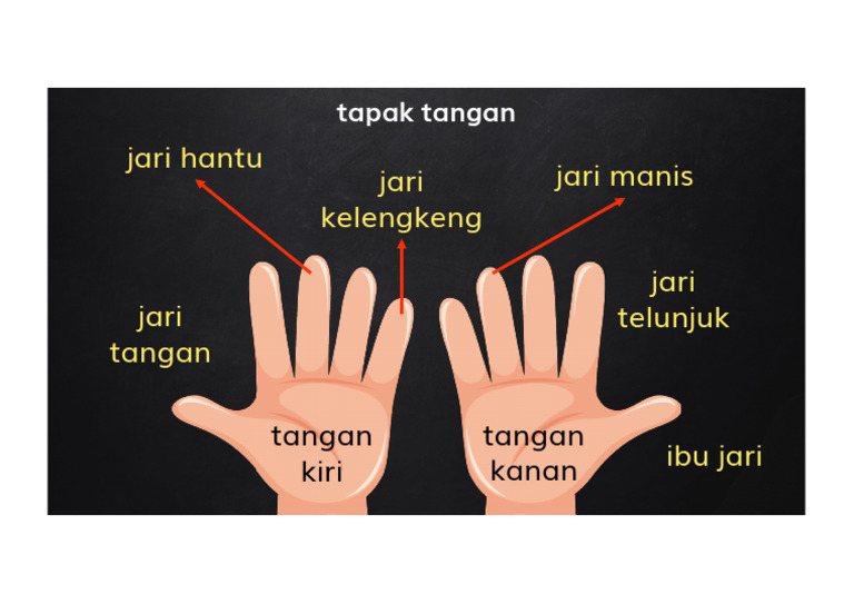 Tapak Tangan | PDF