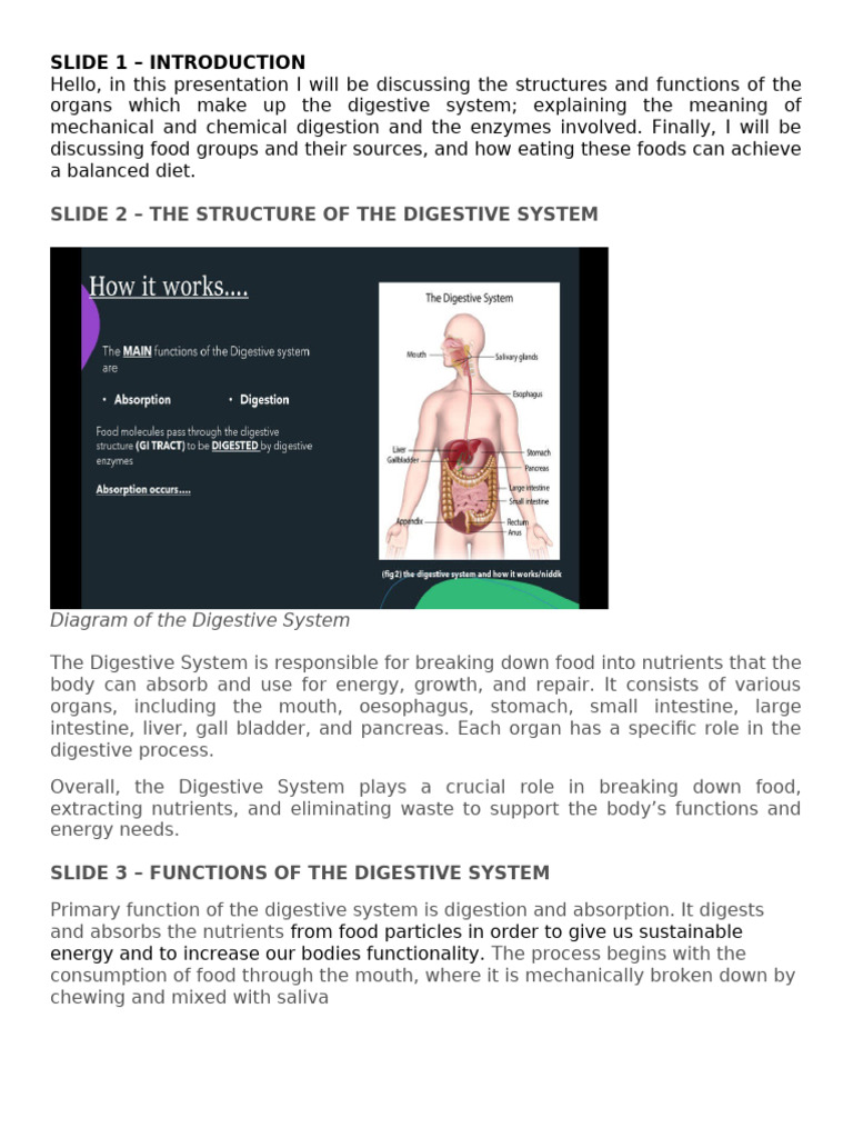 Unit 7 Powerpoint Slides | PDF | Digestion | Human Digestive System