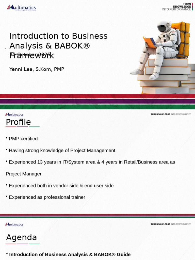 Business Analysis & BABOK® Overview | PDF | Business Analysis | Business
