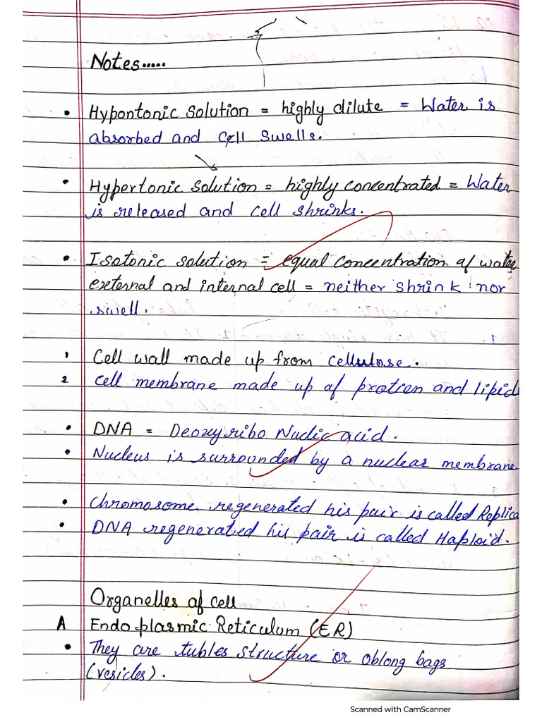 CELL 9th Class | PDF