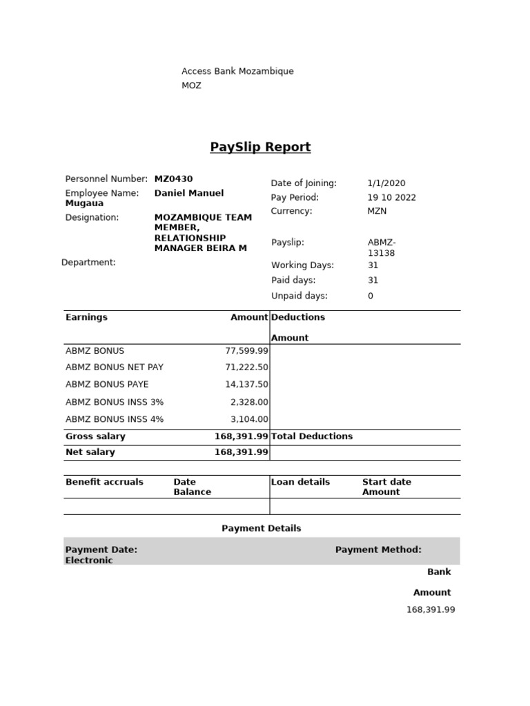 Mozambique Employee Payslip Summary | PDF