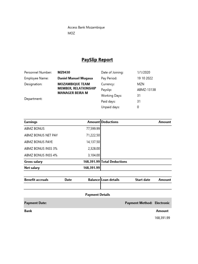 Payslip - Bonus | PDF
