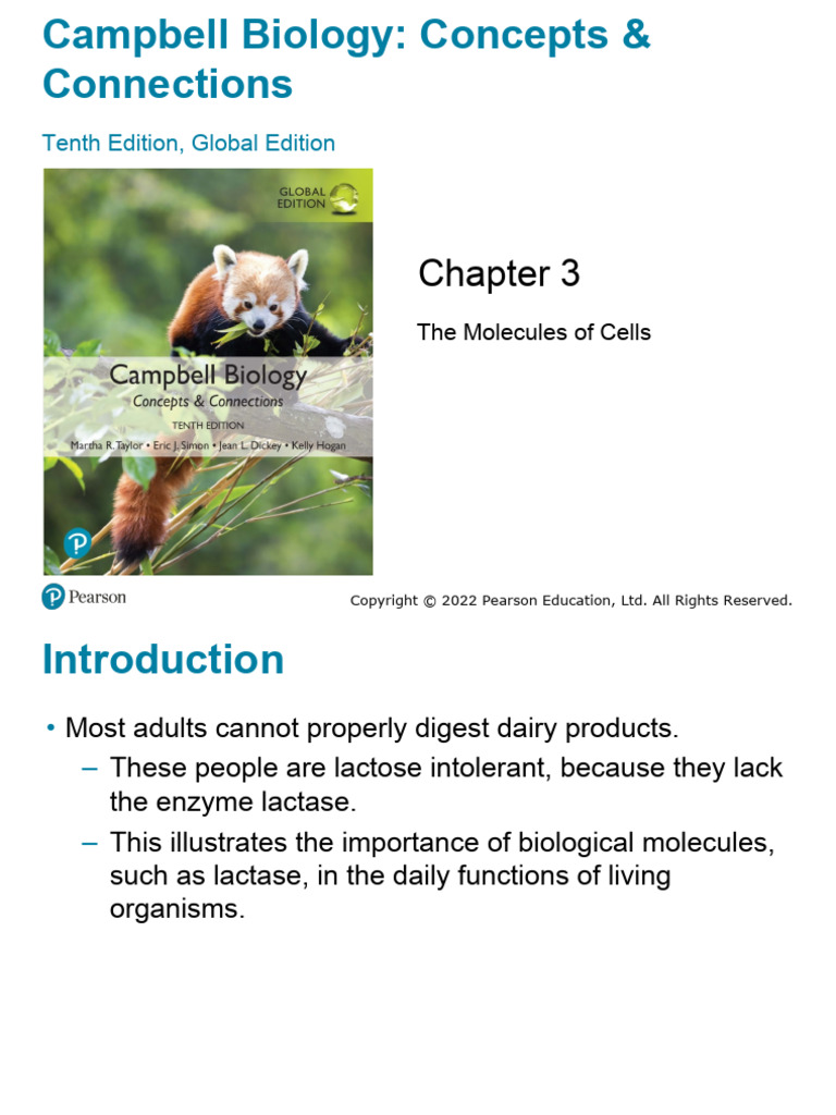 Chapter 3 The Molecules of Cells | PDF | Proteins | Fat