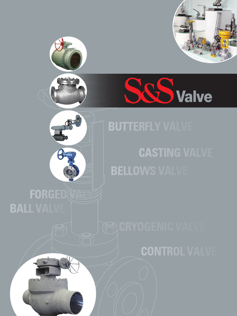 S&S Valve | PDF | Valve | Mechanical Engineering