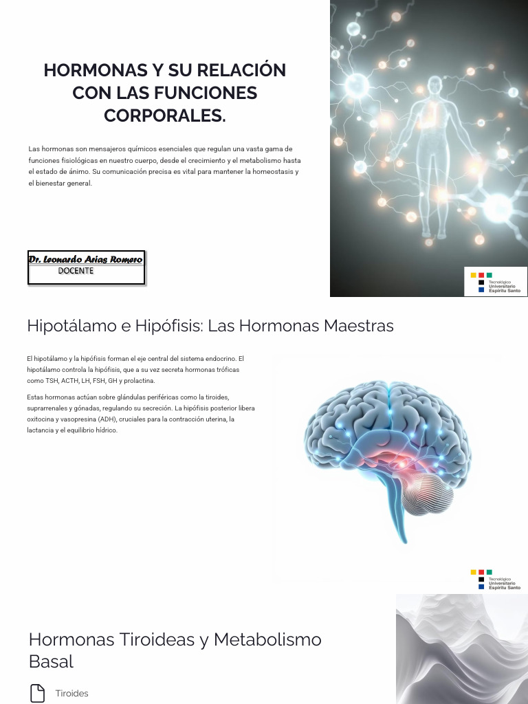 Hormonas y Funciones Corporales Esenciales | PDF | Hormona | Glándula ...