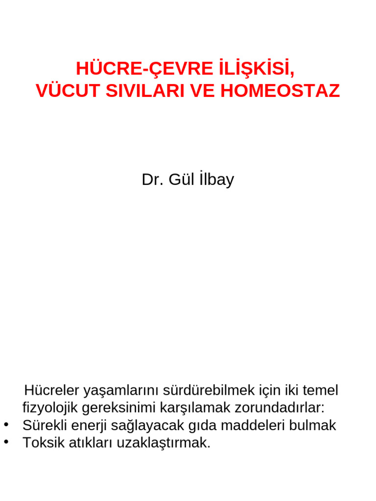 2021 Home Os Taz | PDF