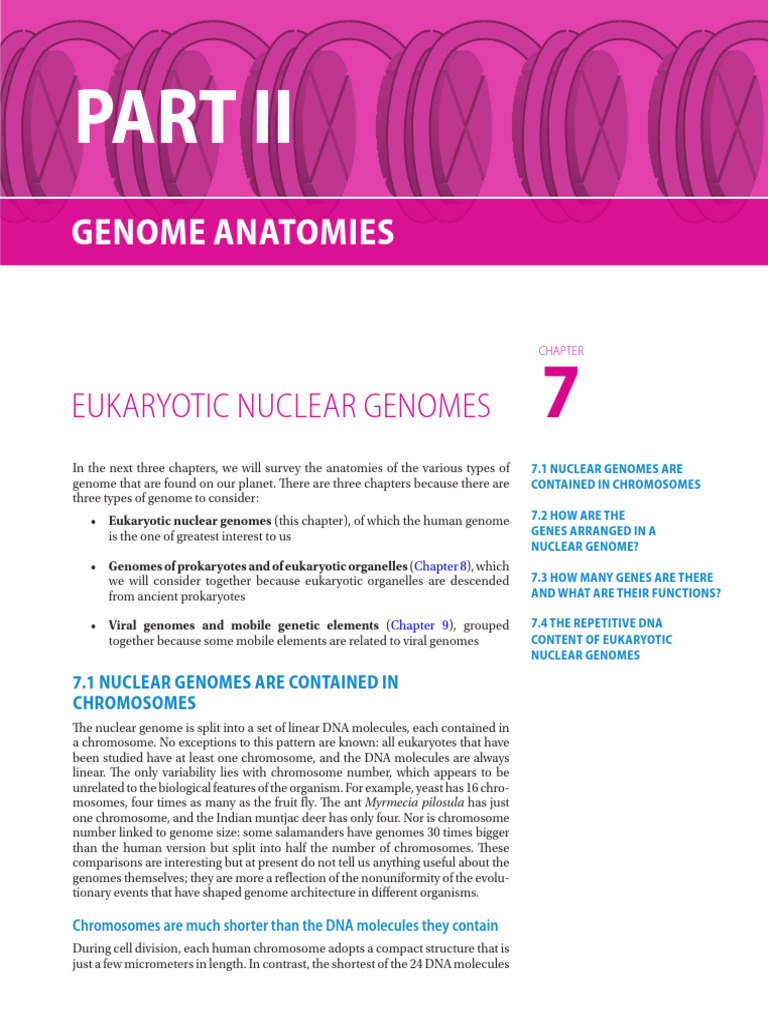 CH7G Eukaryotic Nuclear Genomes Genomes 4 (T.a. Brown)2018_4th_Garland ...