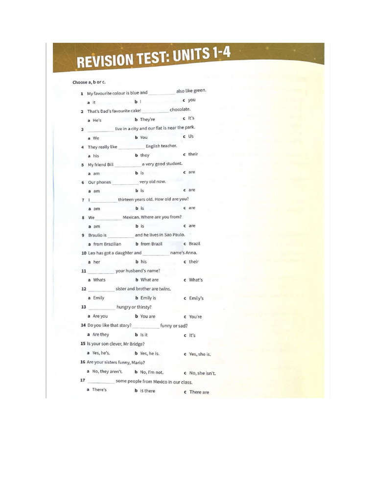 Grammar Test Units 1 4 | PDF