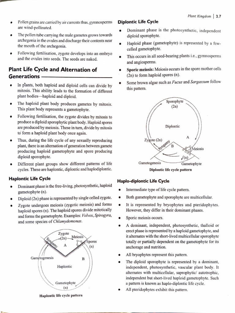 Plant Life Cycles: Haplontic & Diplontic | PDF | Spore | Ploidy