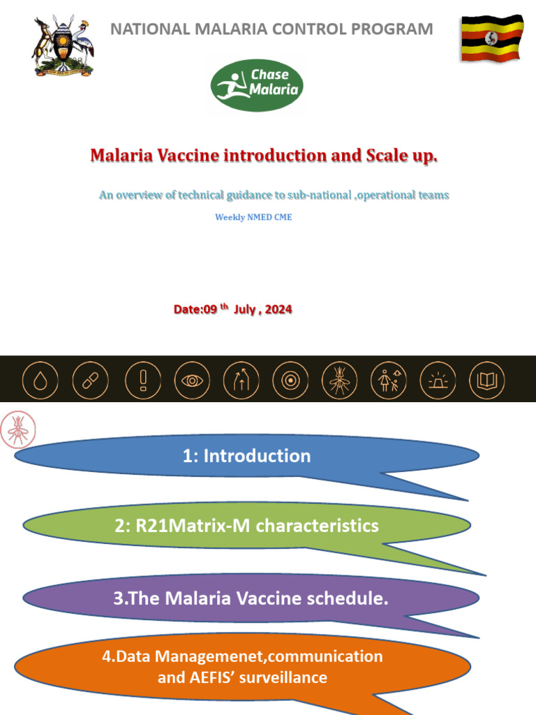 Malaria Vaccine Introduction Guide 2024 | PDF | Malaria | Immunology