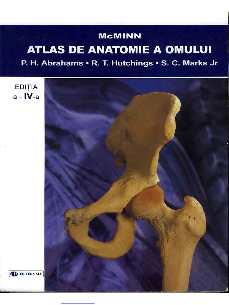 Atlas Anatomia Omului | PDF
