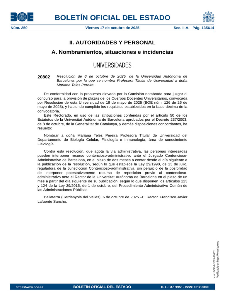 Boe A 2025 20802 | PDF | Gobierno