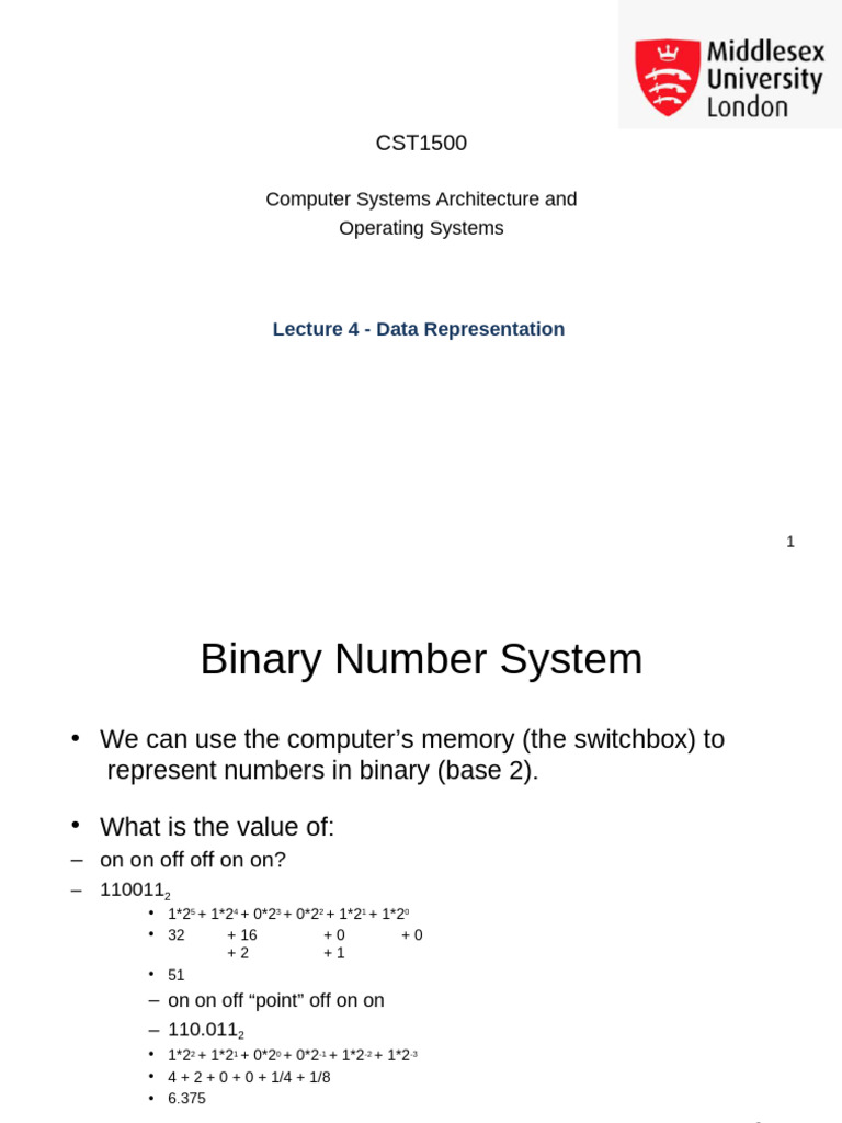 Lecture04-Data Representation | PDF