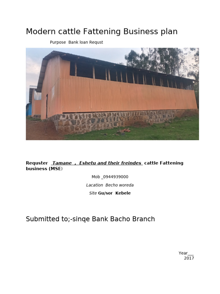 Cattle Fattening Business Plan Overview | PDF | Expense | Soil