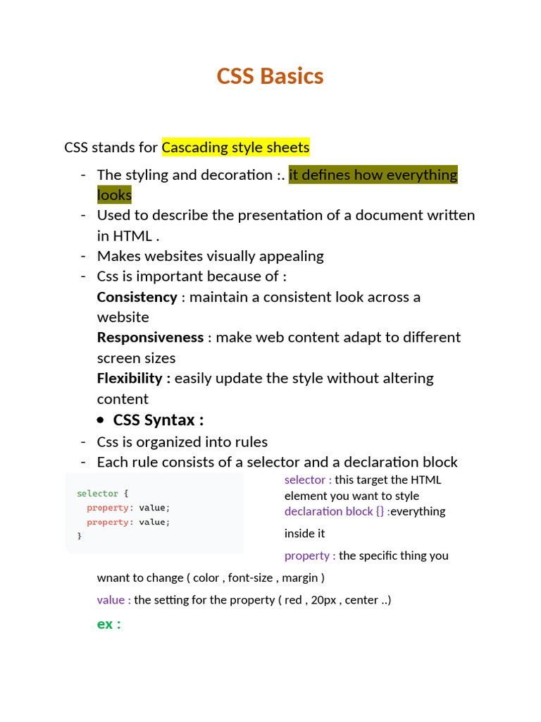 CSS Basics | PDF