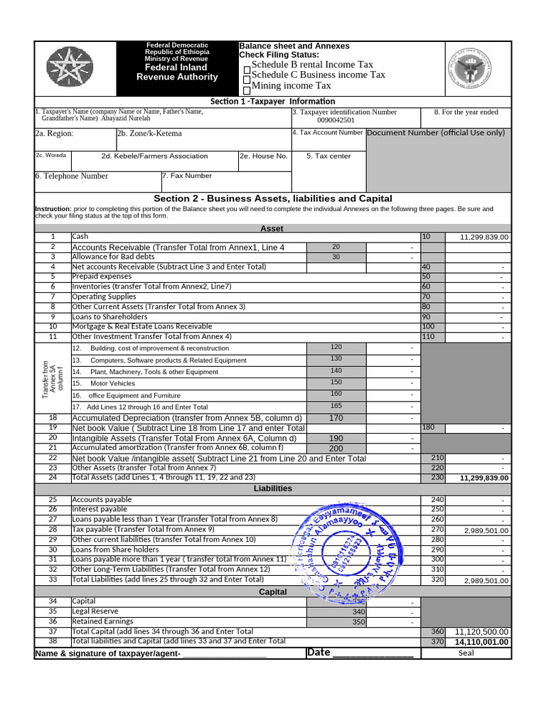 Tax Declaration Forms in Ethiopia | PDF | Book Value | Irs Tax Forms