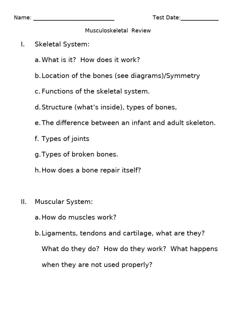 2024 - Skeletal and Muscle Review Sheet | PDF