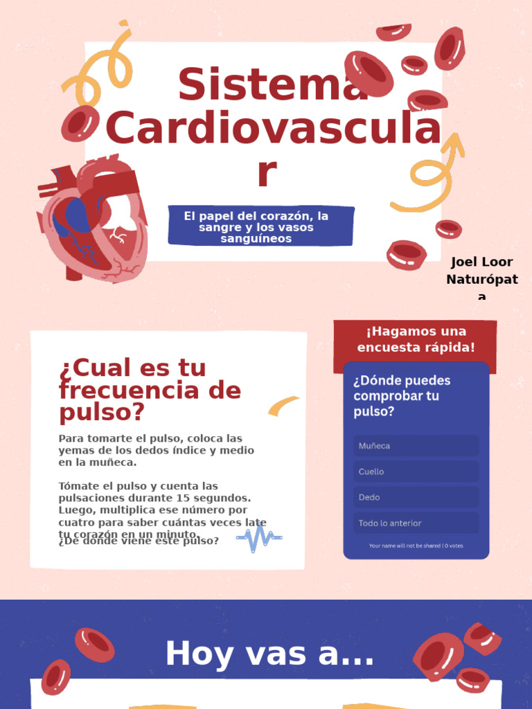 Partes Anatómicas Del Sistema Cardiovascular | PDF | Corazón | Sistema ...
