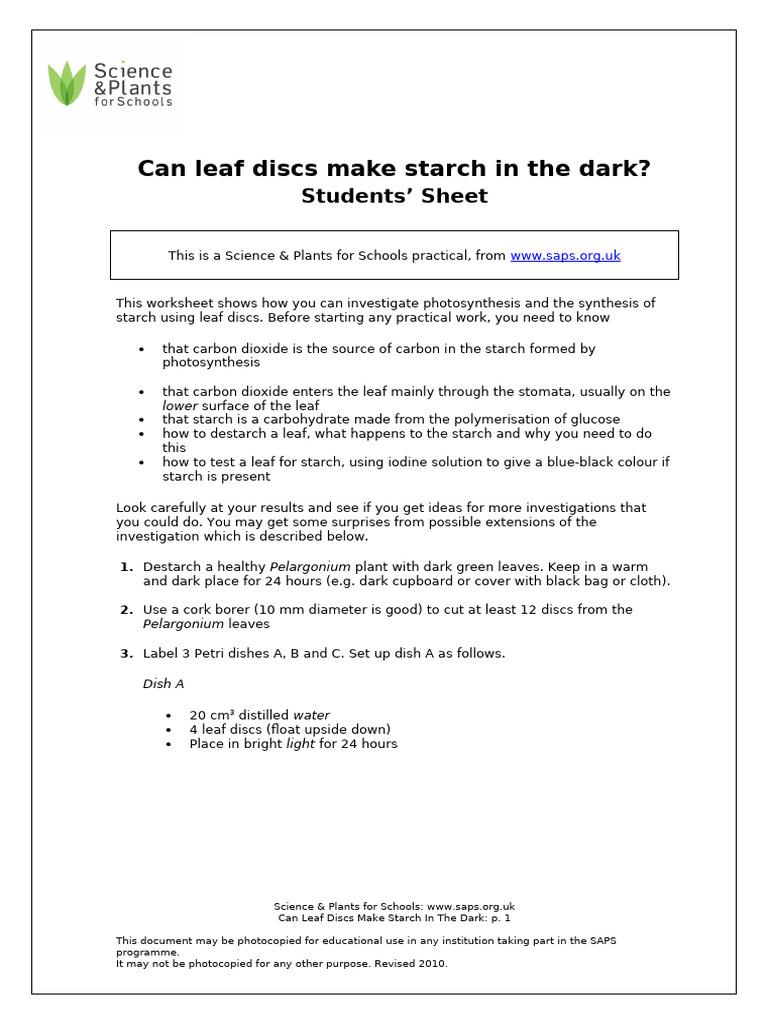 Leaf Discs and Starch Production Experiment | PDF | Leaf | Starch