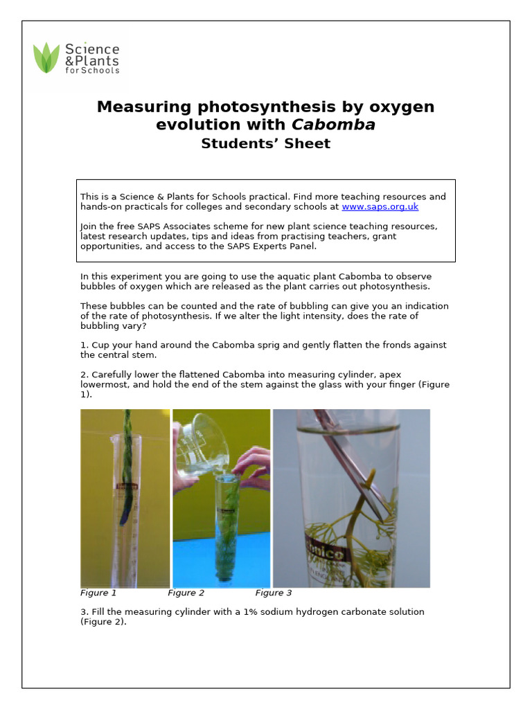 Photosynthesis Measurement with Cabomba | PDF | Experiment | Photosynthesis