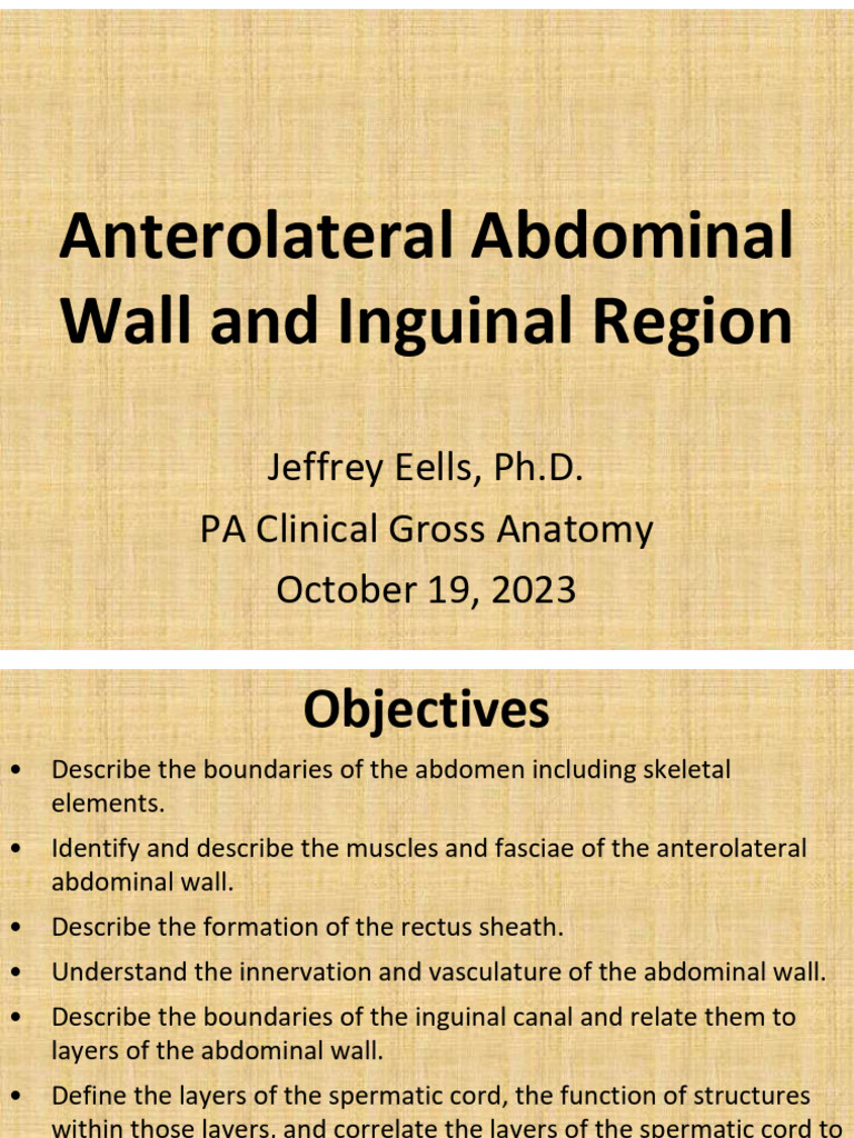 Anterolateral Abdominal Wall and Inguinal Region - Lab Slide Deck | PDF ...