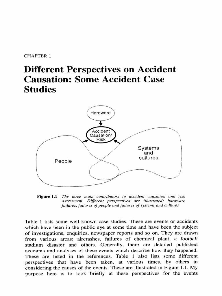 Accident Causation Case Studies Analysis | PDF | Risk