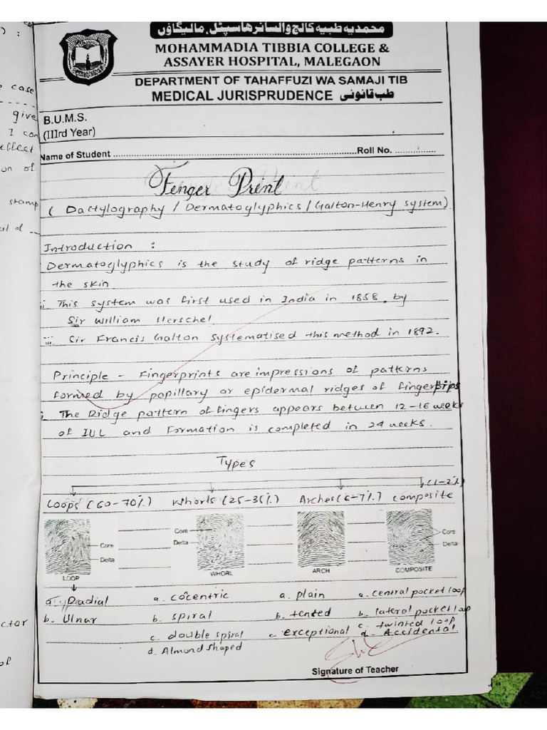 TQS Sheets | PDF