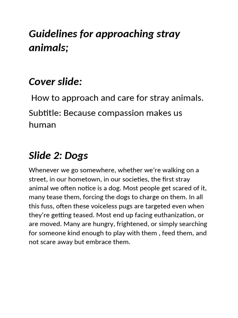 Caring for Stray Animals Guide | PDF