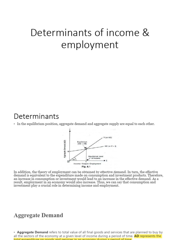 Income and Employment Determinants Explained | PDF | Consumption ...