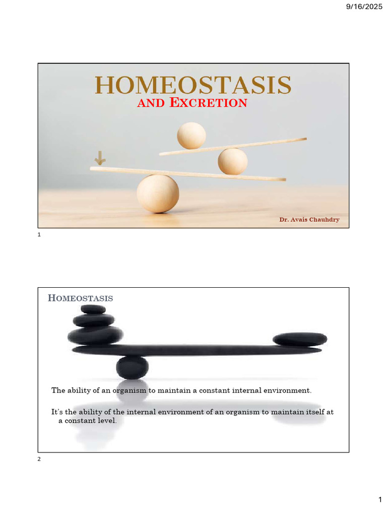 Homeostasis and Regulation in Humans | PDF | Kidney | Diabetes
