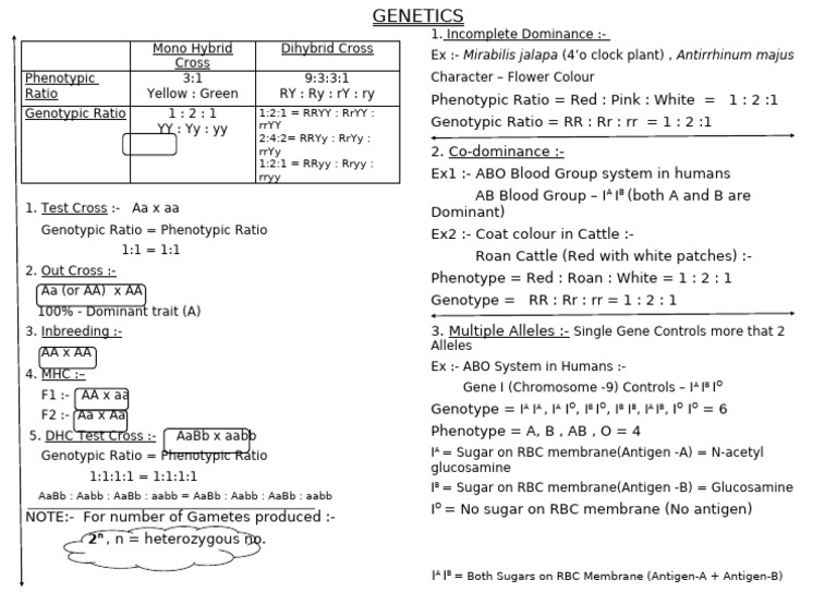 Dominance Patterns in Genetics | PDF | Dominance (Genetics) | Genotype