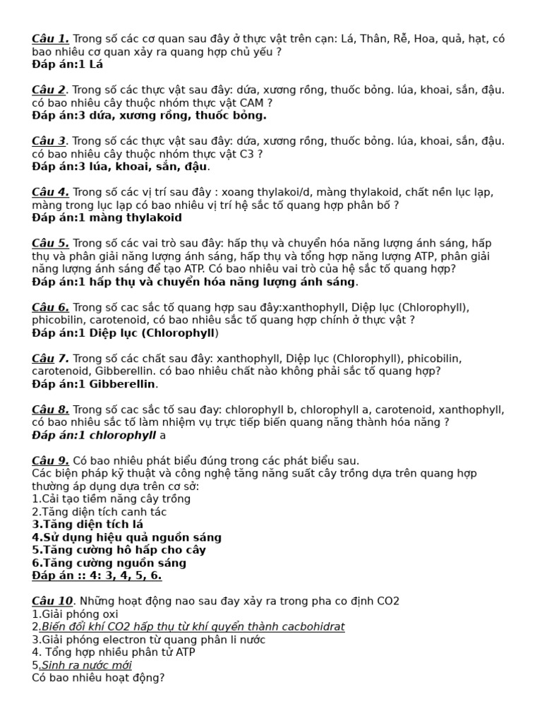 SINH TLN BÀI 4 | PDF