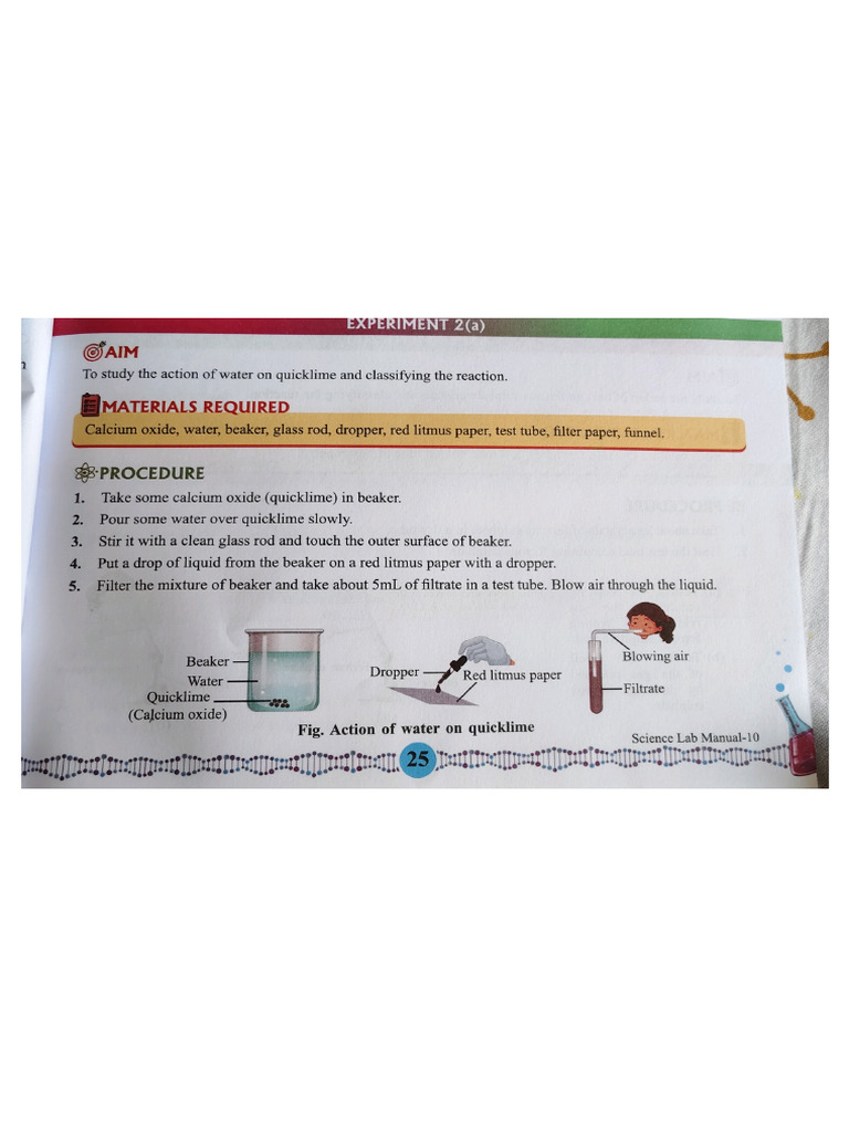 Science Experiment 1a, 1b, 1c, 1d | PDF