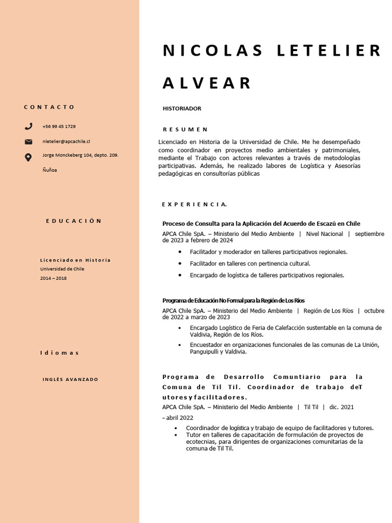 CV Nicolás Letelier Alvear JULIO 2024 | PDF