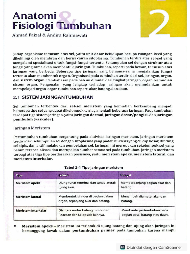 Anatomi Dan Fisiologi Tumbuhan | PDF