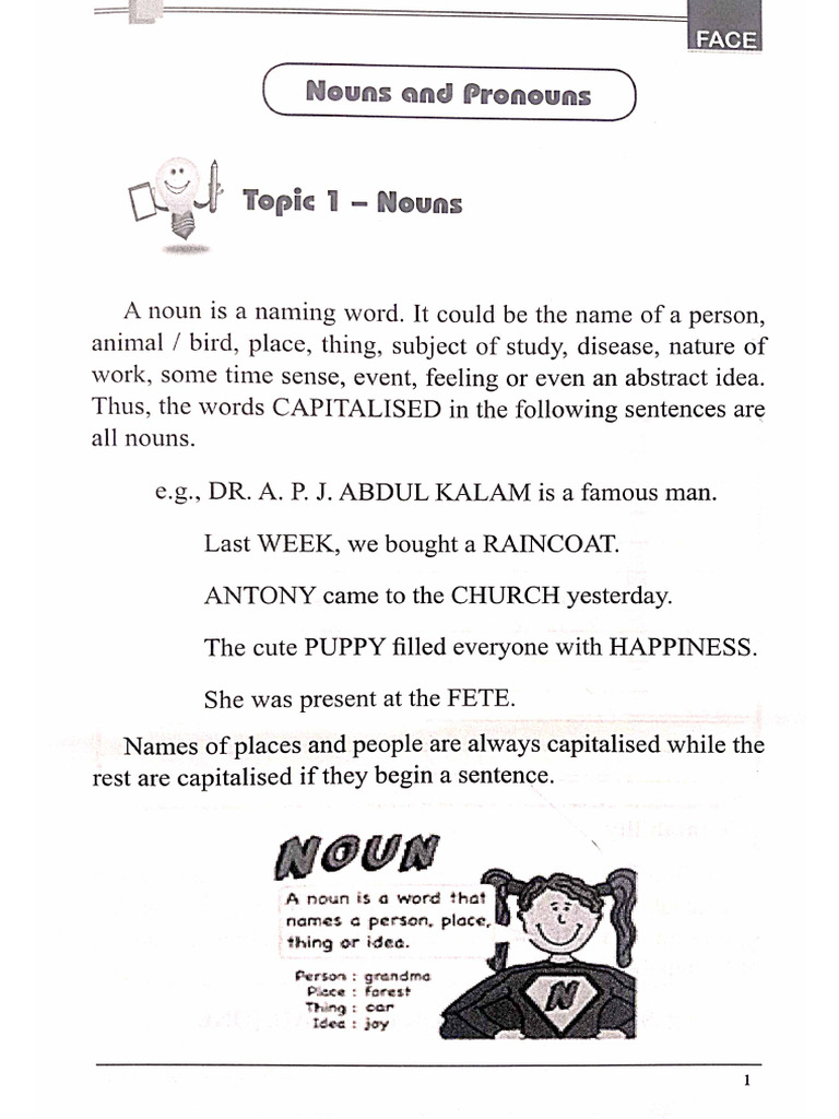 Nouns and Pronouns | PDF
