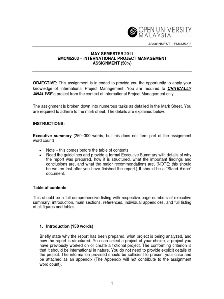 Critical Analysis of an International Project: An Application of ...