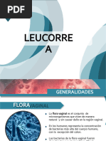 Tipos y causas de leucorrea vaginal | PDF | Especialidades Medicas ...
