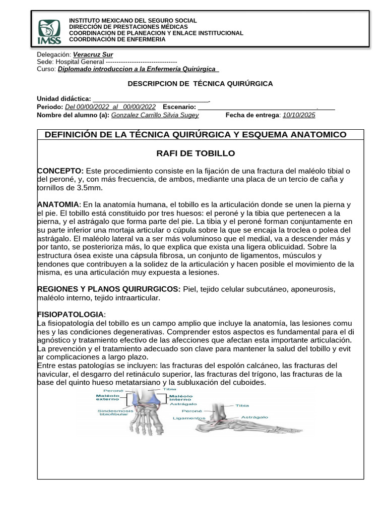 Técnica Quirúrgica: Rafi de Tobillo | PDF | Tobillo | Sistema ...