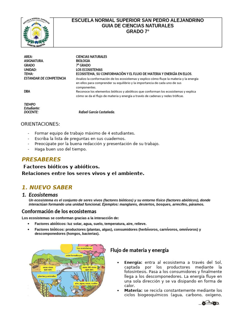 Guia 1 Ecosistemas Flujo de Materia y Energia en Los Ecosistemas | PDF ...