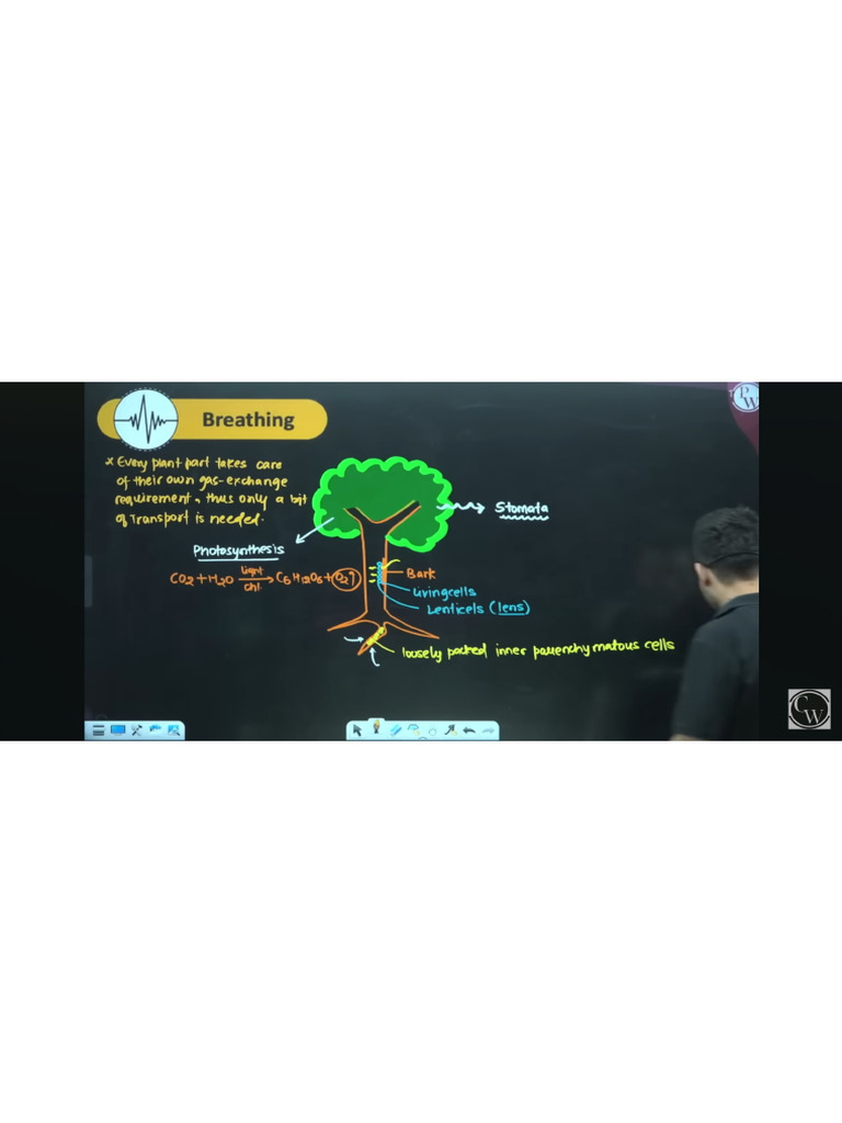 Respiration in Plants | PDF
