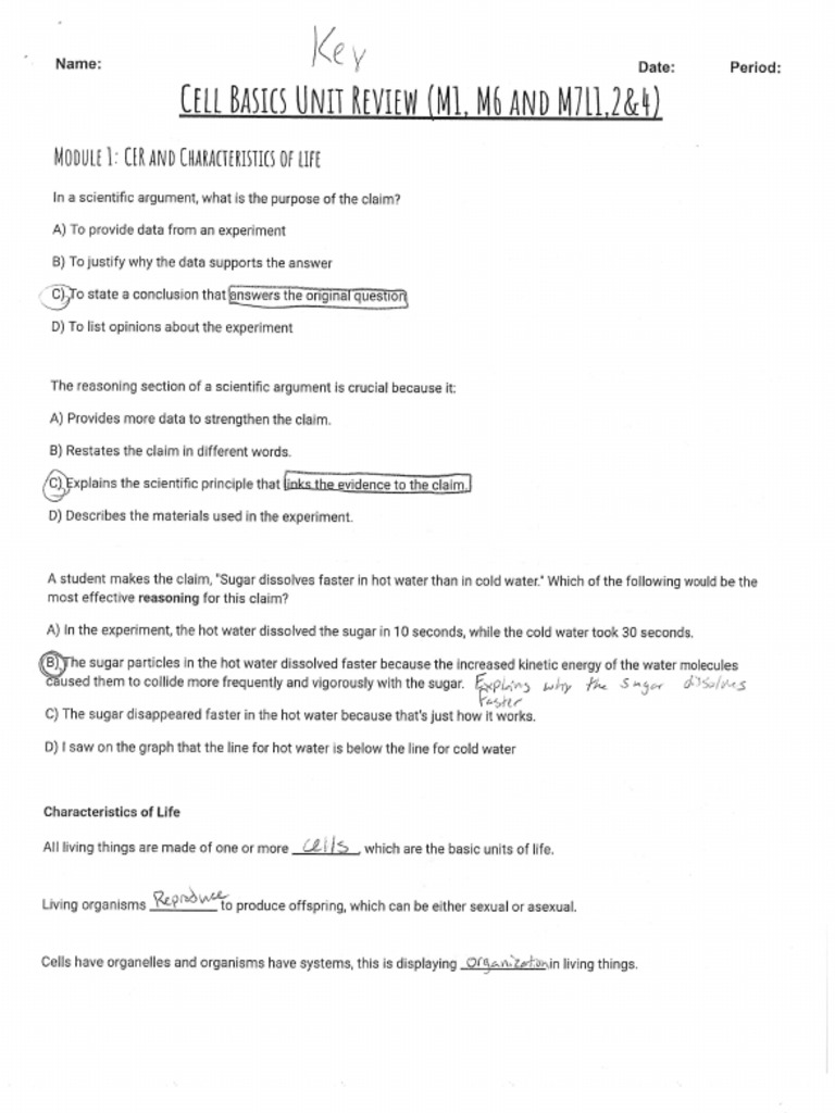 Cell Basics Review Key | PDF