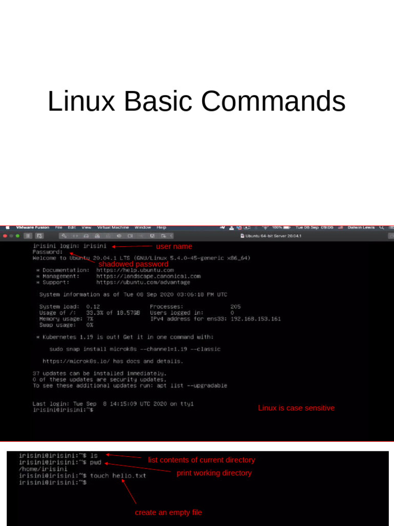 Linux Basic Commands | PDF | Computer File | Directory (Computing)