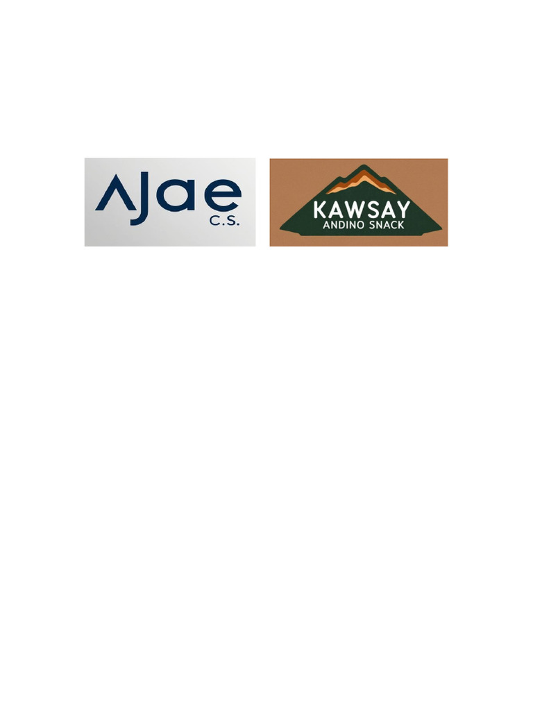 Presentacion y Organizacion de Ajae S.C.S | PDF