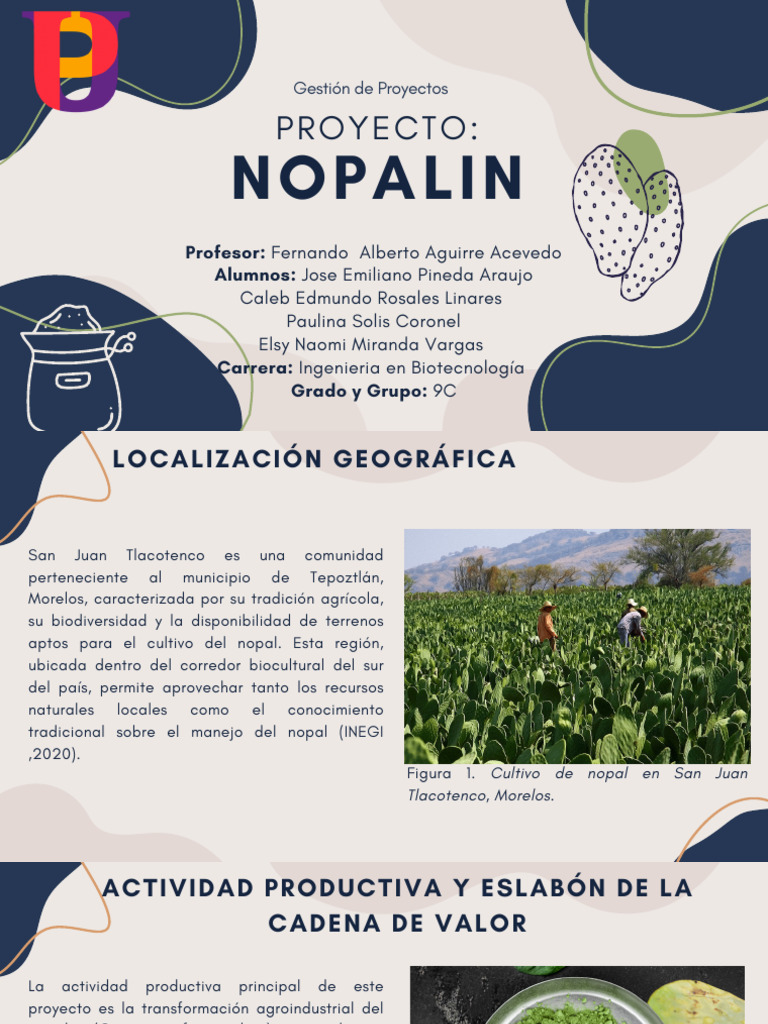 Proyecto Agroindustrial: Harina de Nopal | PDF